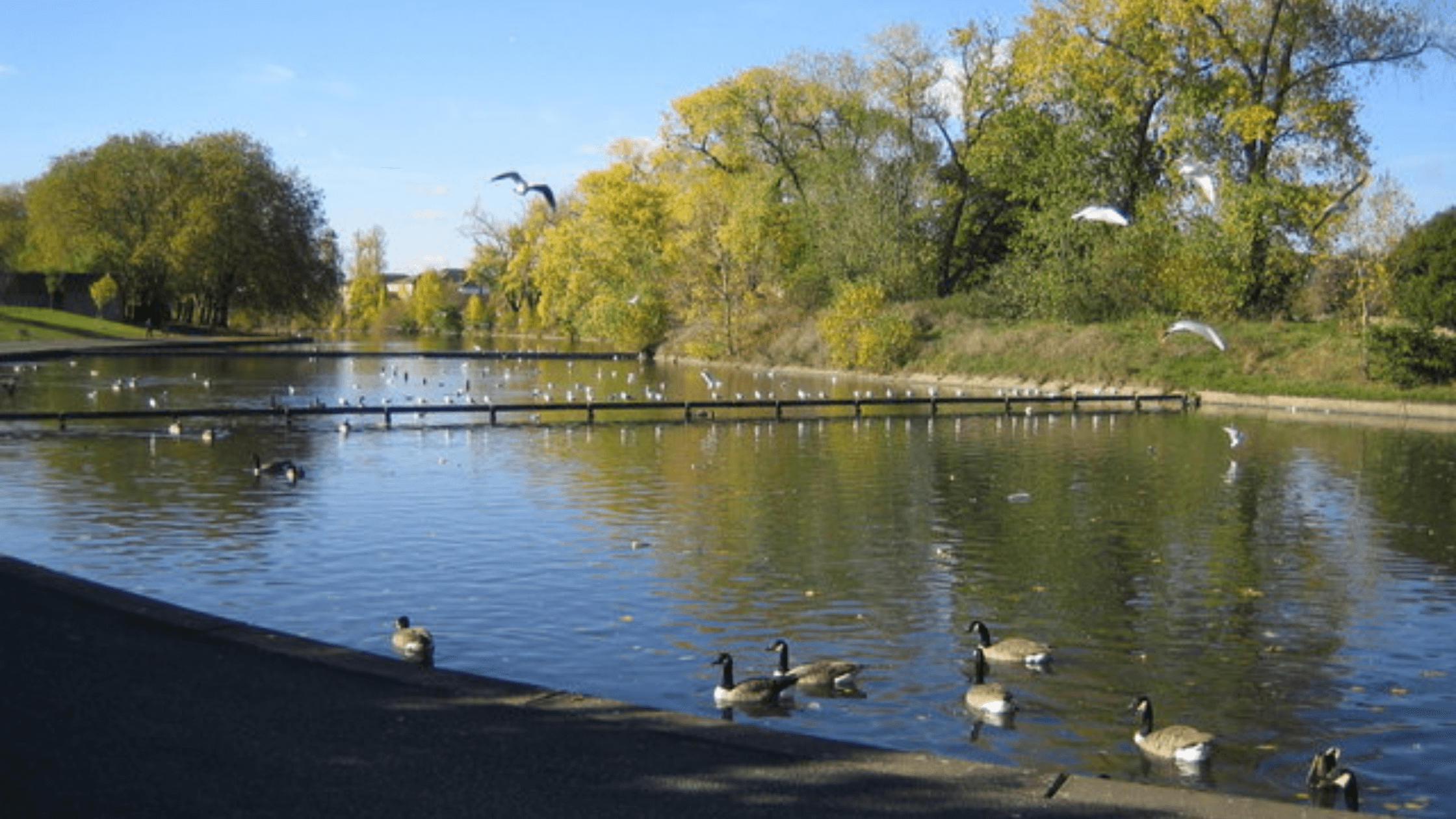 Living in Barking: local area guide